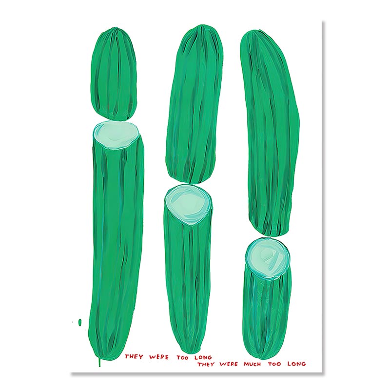 Abstract David Shrigley Frog Parrot Banana Lemon Art Canvas Painting ...