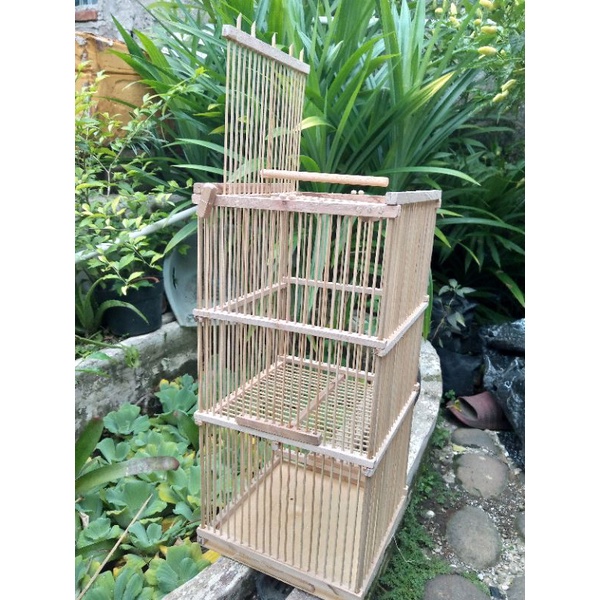 Automatic trap 1 door (2 compartments) | Shopee Philippines