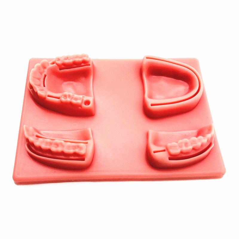 Silicone Human skin Oral Teeth Gum Suture Training pad mon Types Of ...