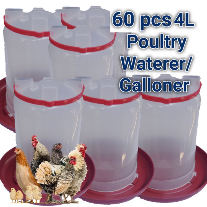 60 pieces Poultry Waterer/Galloner | Shopee Philippines