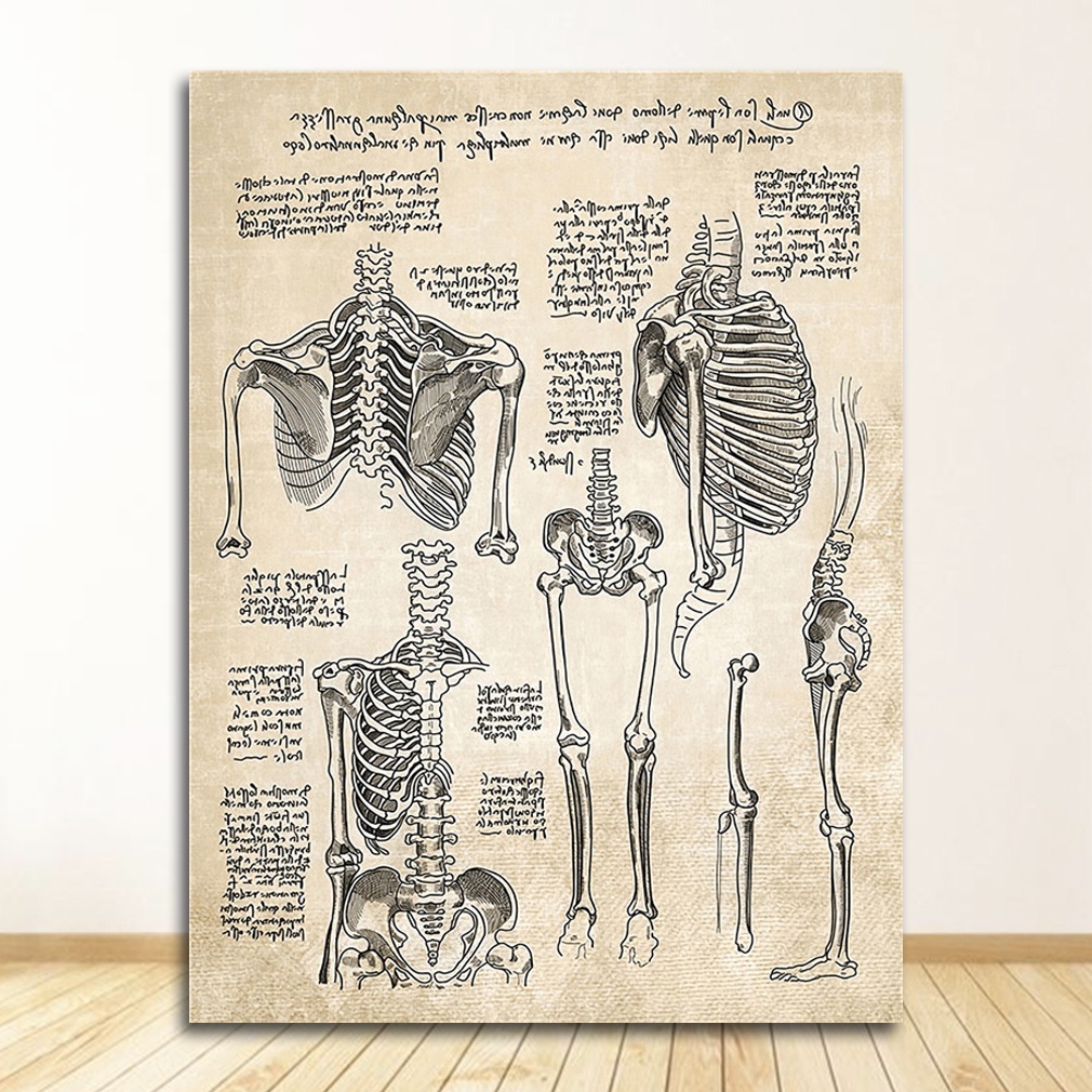 Frameless Vintage Anatomy Skeleton Wall Art Canvas Painting Nordic ...