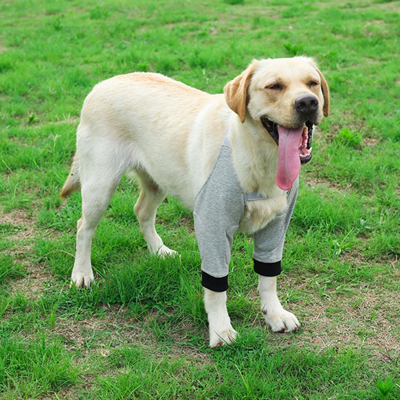 Dog Elbow Sleeves Pad Front Leg Knee Recovery Bandage Cold Warm Pads ...