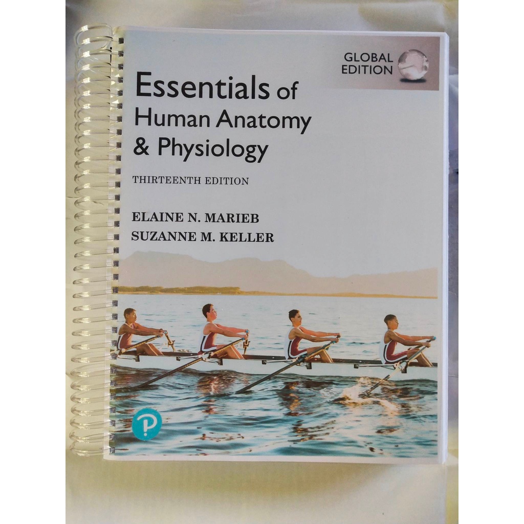 Essentials of Human Anatomy & Physiology [Global Edition], 13th Edition ...