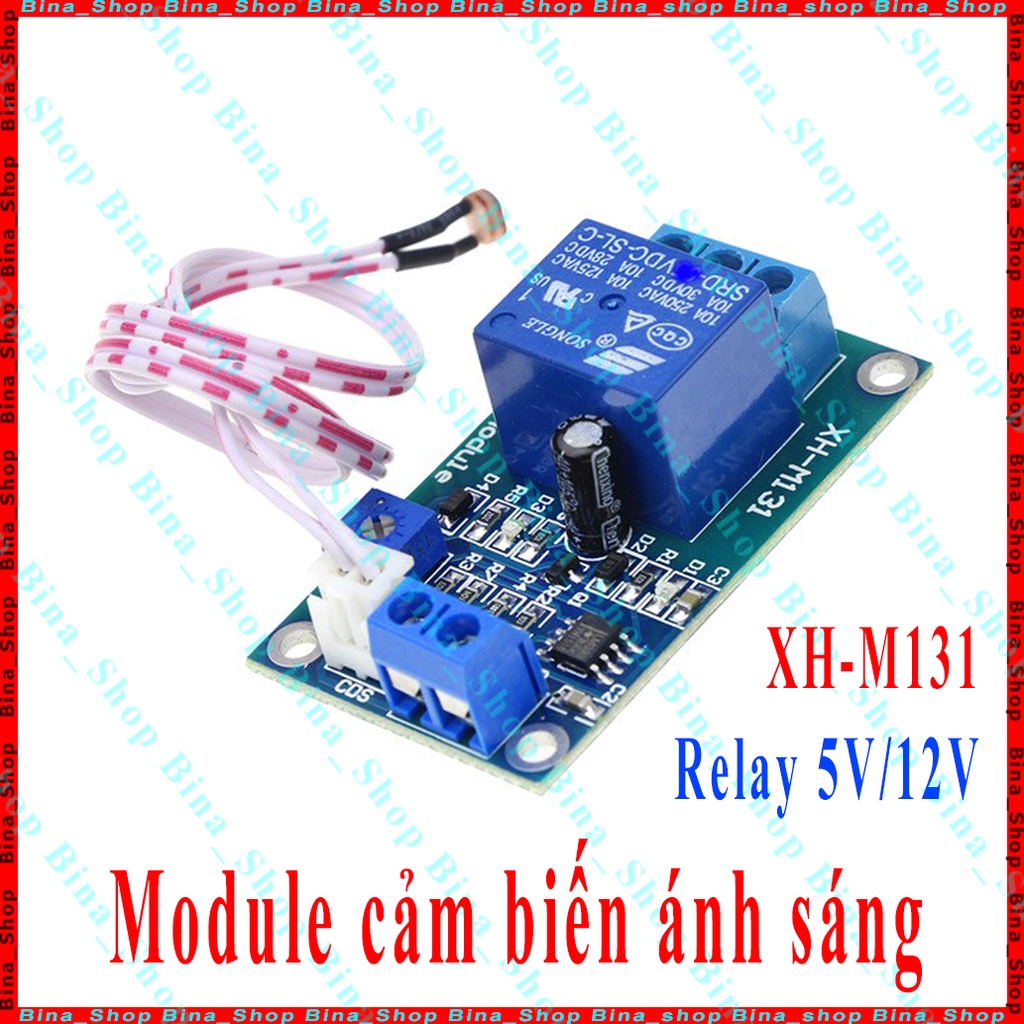 Light sensor Module with Relay 5V/12V XH-M131 | Shopee Philippines