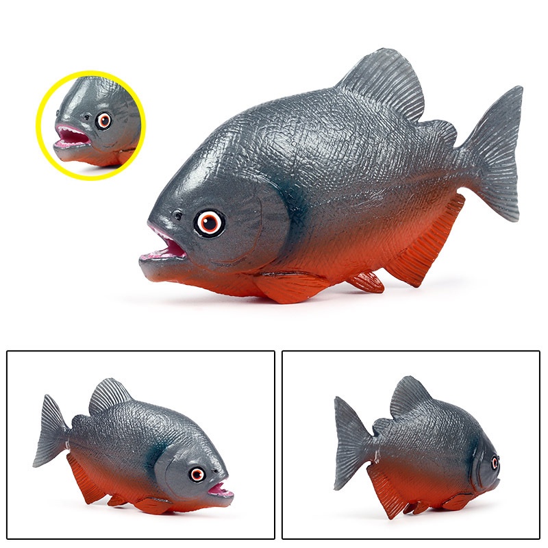 Solid simulation marine animal model piranha piranha piranha marine ...