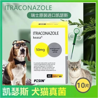 Shop itraconazole for Sale on Shopee Philippines