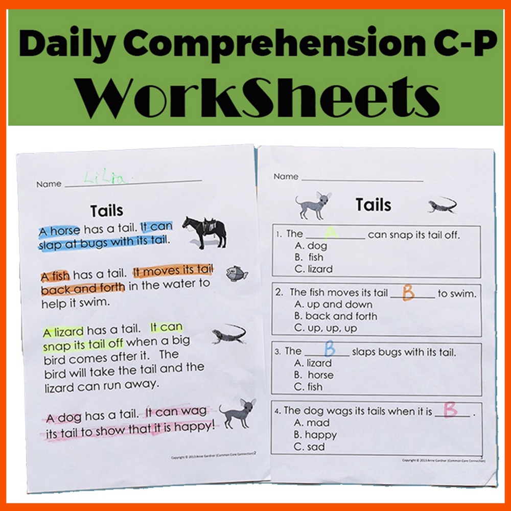 Reading Comprehension Passages Level C-P Practice Paper Preschool ...
