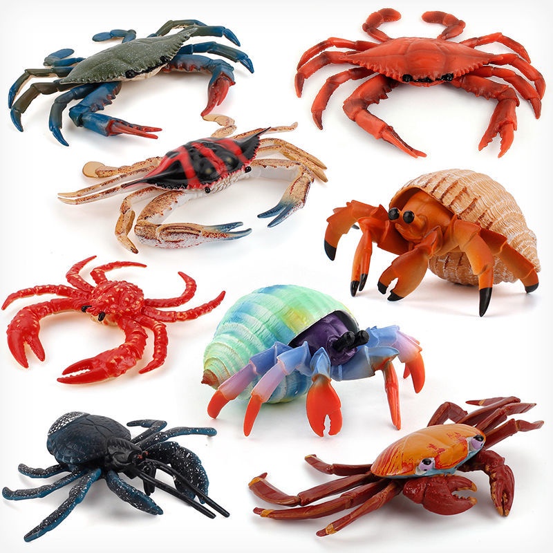 crab swimming crab king crab hermit crab marine biological model kids ...