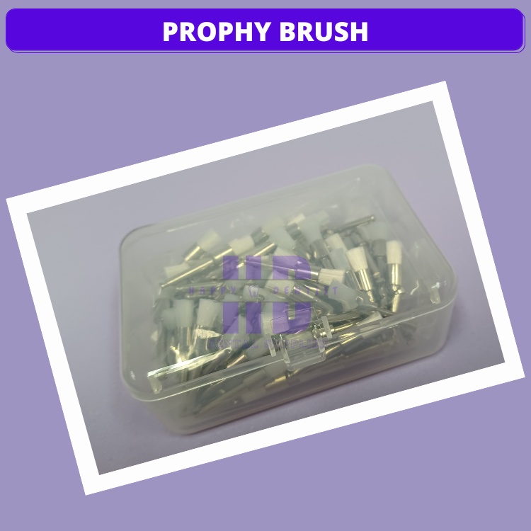 PROPHY BRUSH PER BOX (100 pcs) | Shopee Philippines