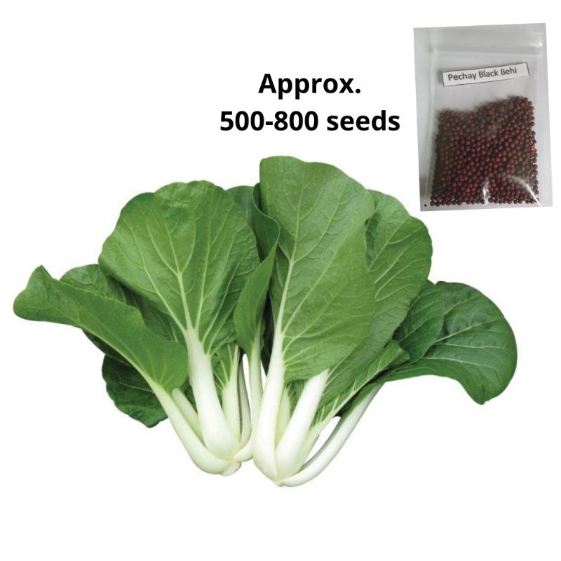 f1 pechay vegetables seeds repack | Shopee Philippines