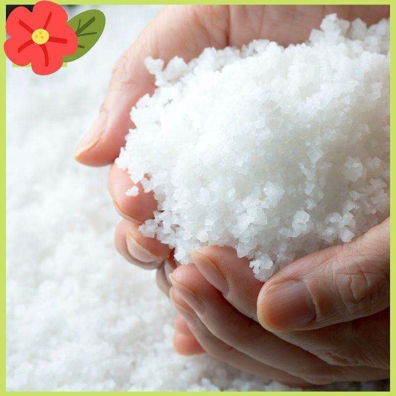 Pangasinan Best Sea Salt from Dasol 2kg | Shopee Philippines