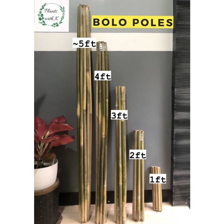 Shop bamboo poles for Sale on Shopee Philippines