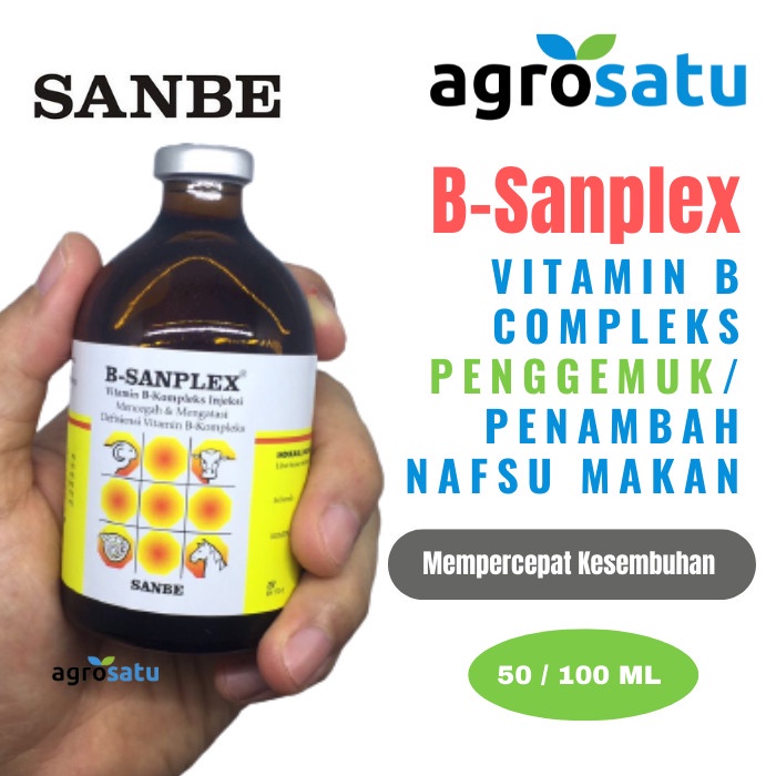 Vitamin B Complex Animal B Sanplex Injection 100ml Sanbe / Vit B ...
