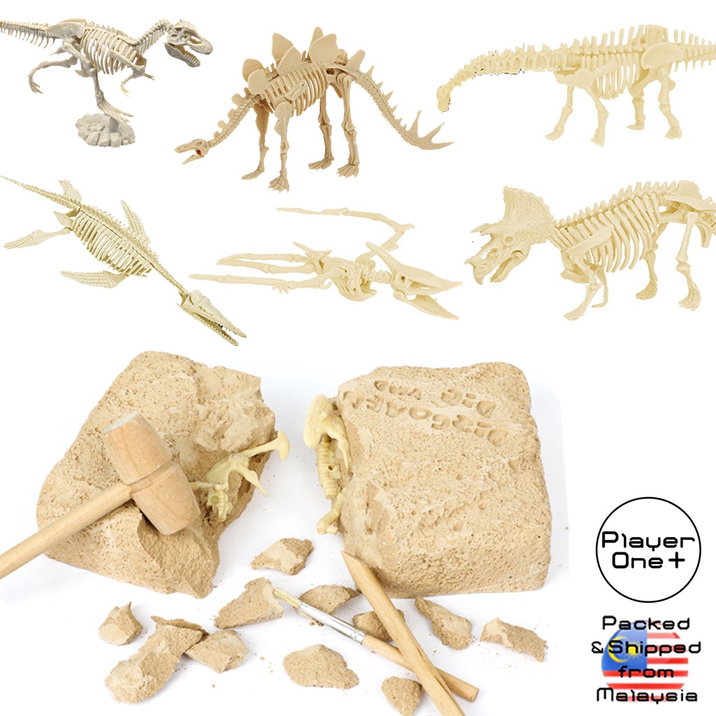 Dinosaur Fossil Dig Excavation Kit 3D Skeleton Puzzle Models Dinosaur Dig Kit Toy Archeology Kit ...