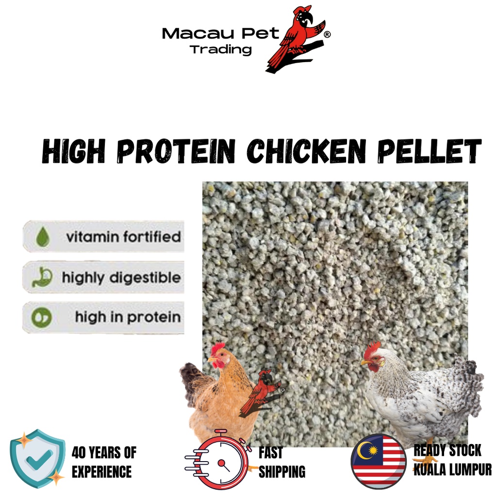 Mpt 1Kg Chicken Feed Fine Chicken Feed Serama Chicken Bran Duck Bran ...