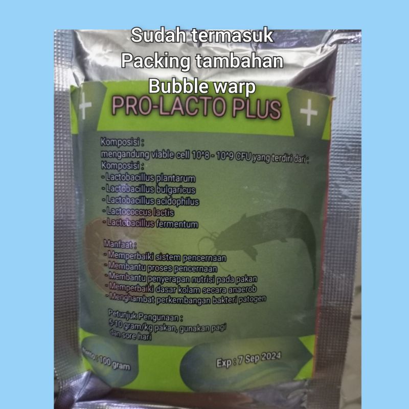 Lacto plus probiotic 100 grams / shrimp pond probiotic / probiotic ...