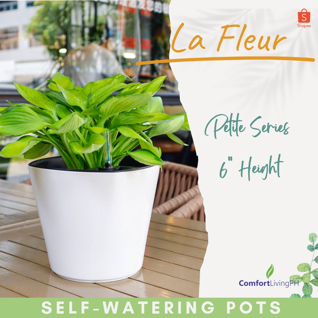 LA FLEUR Plant Pots Planters Premium Self Watering - Petite Size ...