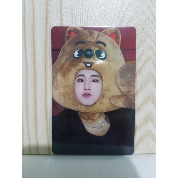 Stray Kids Han Quokka Maxident JYPShop skzoo Preorder Benefit Photocard ...