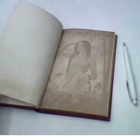 1915 Jesus Balmori Se deshojo la flor novel Spanish philippine history ...