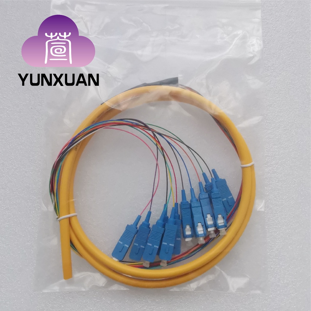12 Cores Bunch Pigtail SC/UPC SM (9/125um) G652D Fiber Optic Bundle Tail Pigtail | Shopee ...