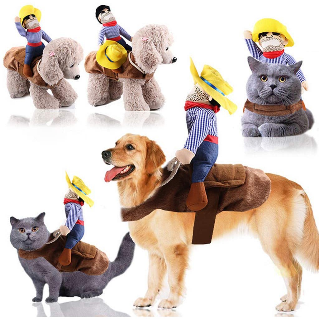 Cowboy Rider Dog Costume for Dogs Clothes Knight Style with Doll and ...