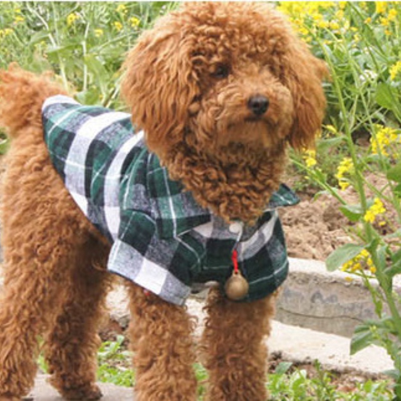 Red Checkered Plaid Dog Clothes for Shih Tzu Male British Style Pet ...