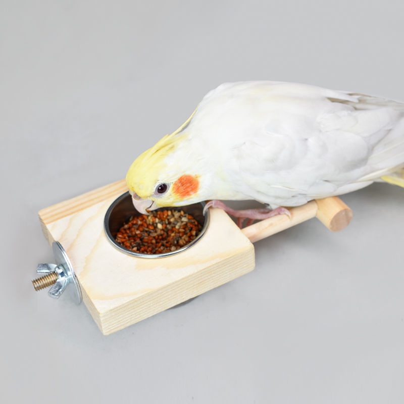 Stainless Steel Bird Food Cup Parrot Bird Food Box with Shelf Bird Cage ...