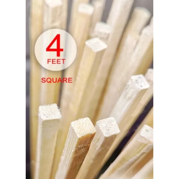 Bamboo Plant Sticks/Grow Support Square | Shopee Philippines