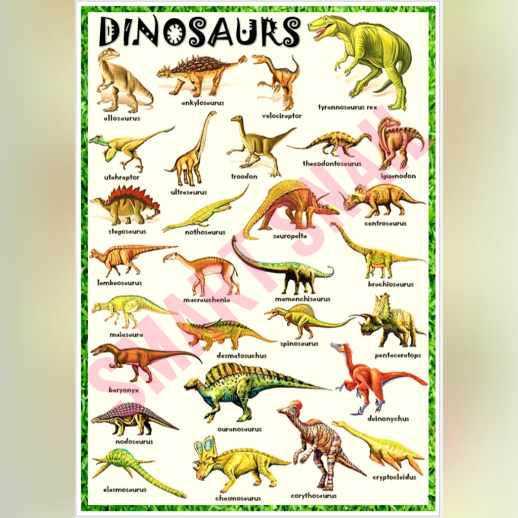 Laminated ANIMALS, INSECTS and DINOSAURS Educational Wall Charts for ...