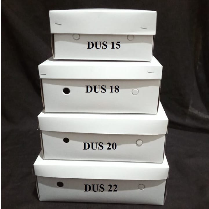 PUTIH White Rice Box 18X18CM | Shopee Philippines