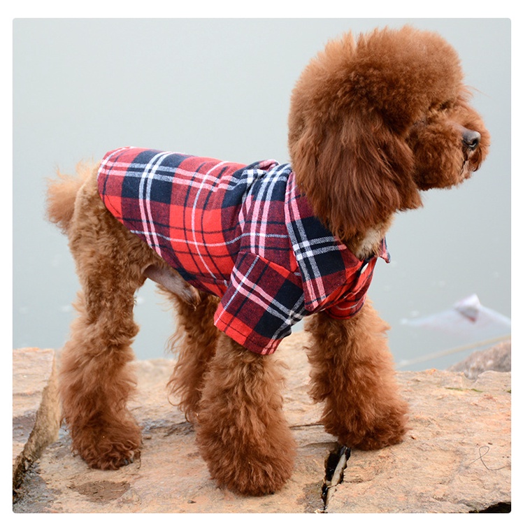 Red Checkered Plaid Dog Clothes for Shih Tzu Male British Style Pet ...
