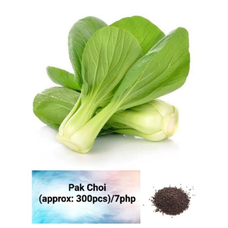 Vegetable & Fruit Seeds (Lettuce,Pepper,Tomato,Eggplant,Pechay ...