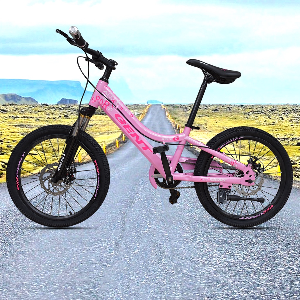 Japan Osaka DMountain Bike 20-Inch Cross-Country Adult Bicycle Color ...