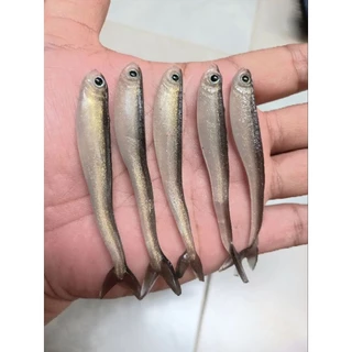bolinao - Best Prices and Online Promos - Sept 2024 | Shopee Philippines
