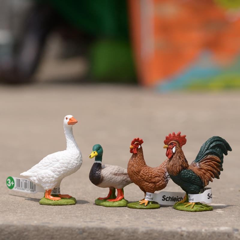 ins Genuine German Sile Chicken Duck Goose Rooster Hen Poultry Animal ...