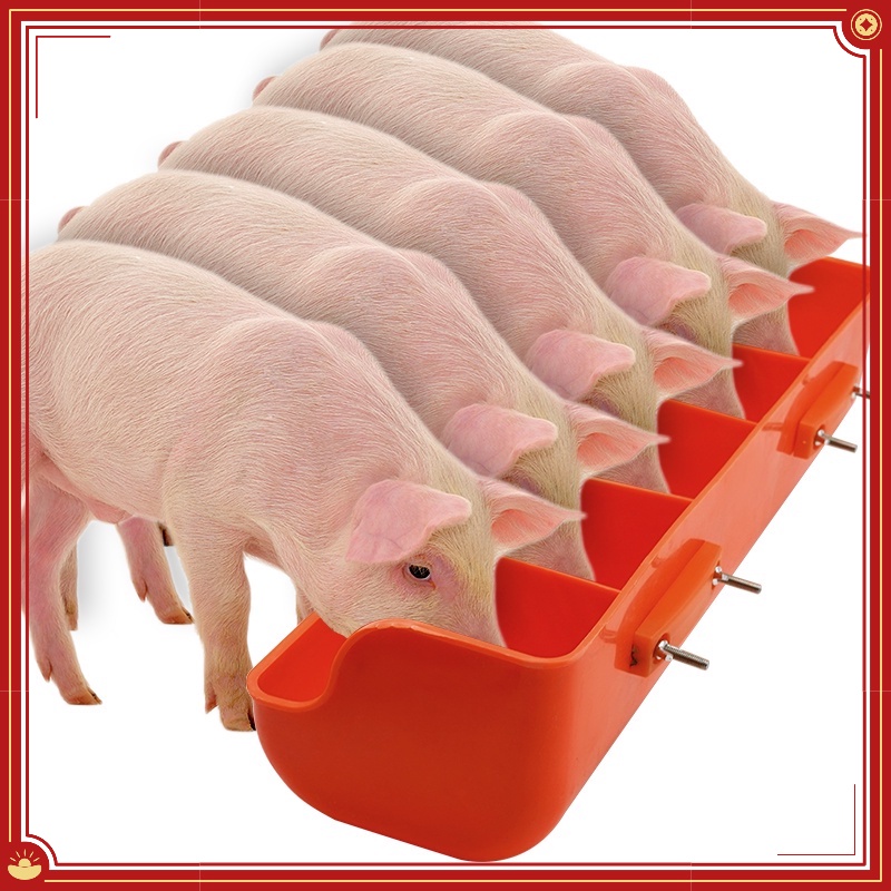 Plastic Piglet Trough Automatic Feeding Five Grids Pig Sow Feeder ...