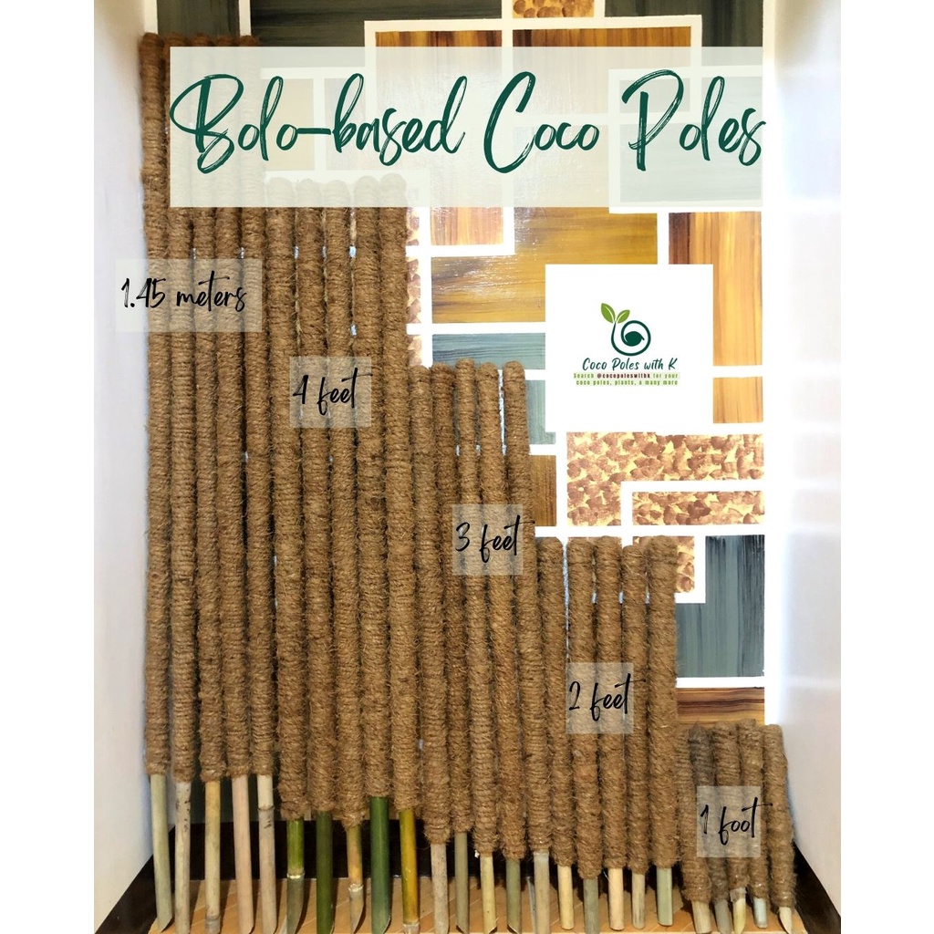 Shop bamboo poles for Sale on Shopee Philippines