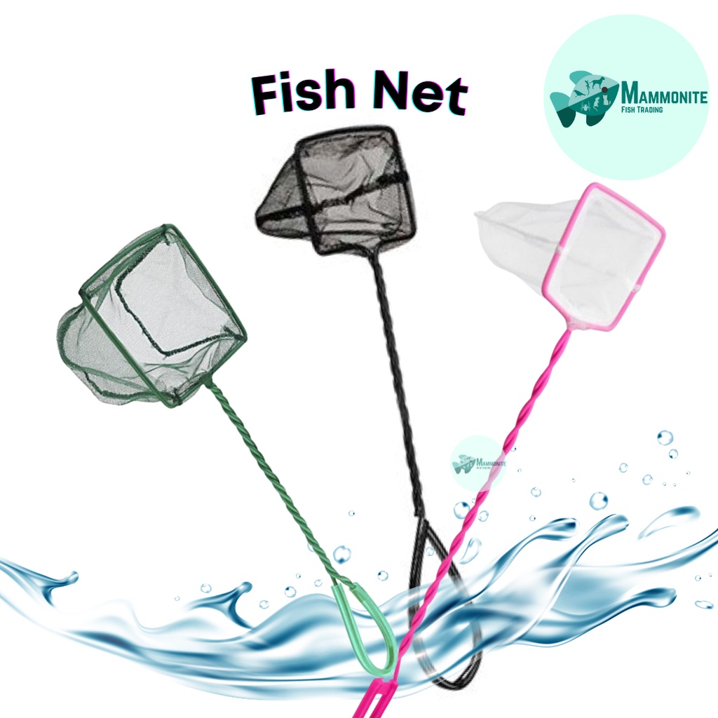 3 Inches Fish Net For Aquarium Tank Catch Scoop Fresh and Salt Water ...