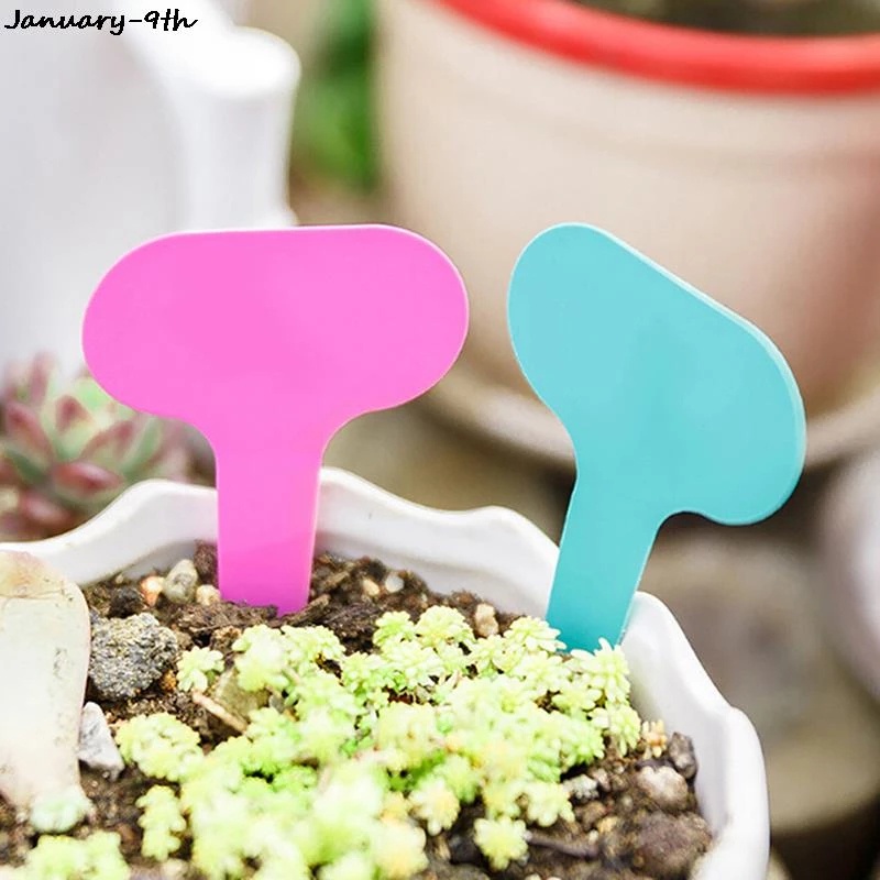 100pcs Garden Labels Plant Classification Writing Mark Tools T-type ...