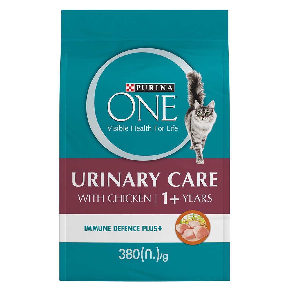PURINA ONE CARE Adult Cat Formula URINARY Chicken Flavor 380 G ...