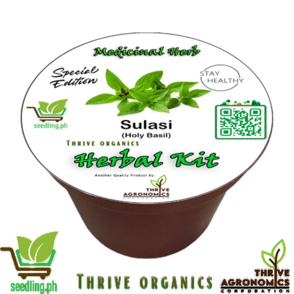 Sulasi Holy Basil Herbal Kit Grow Kit Seedling Kit Starter Kit Planting ...