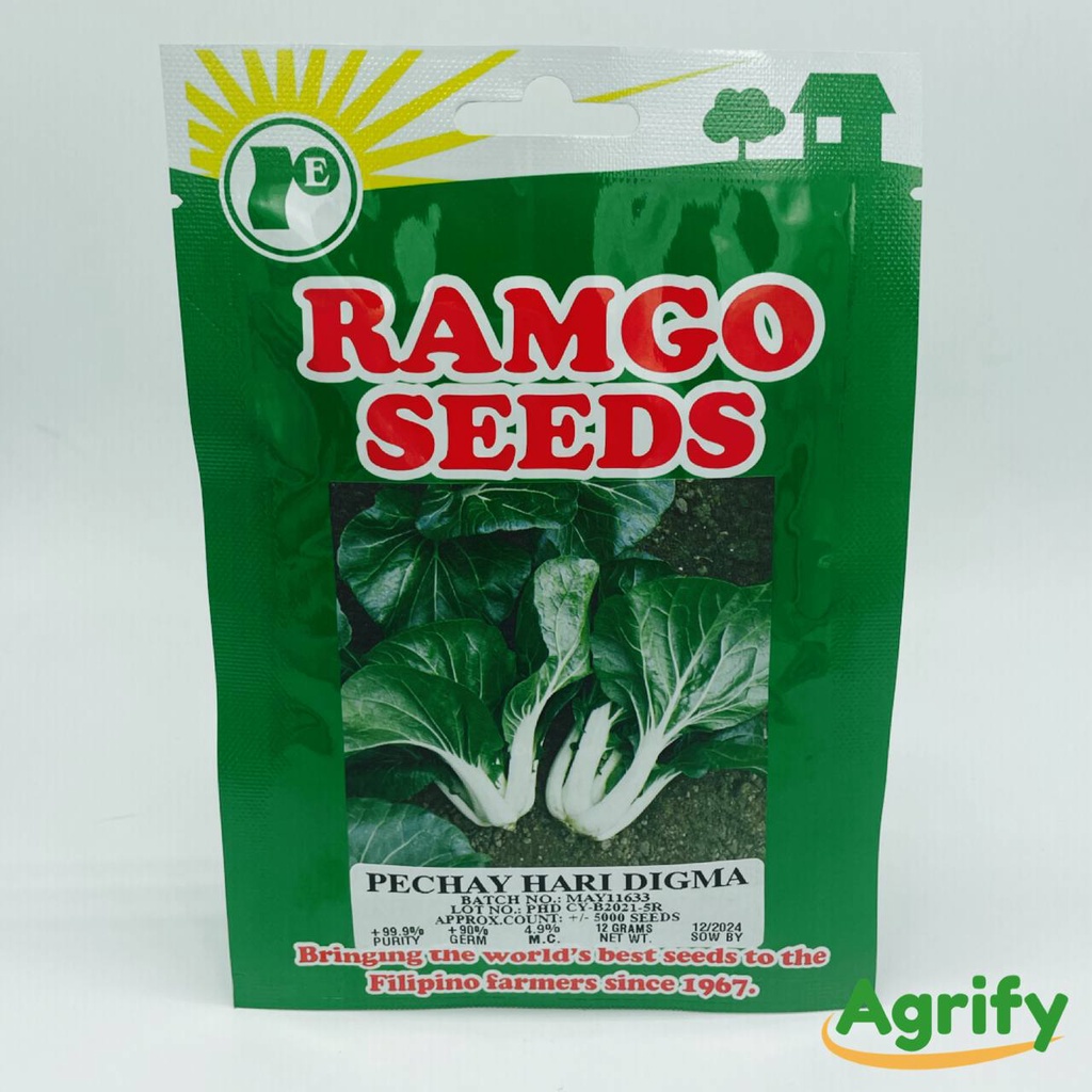 Pechay Hari Digma | 12g | 4800 Seeds | High Germination Premium Variety ...