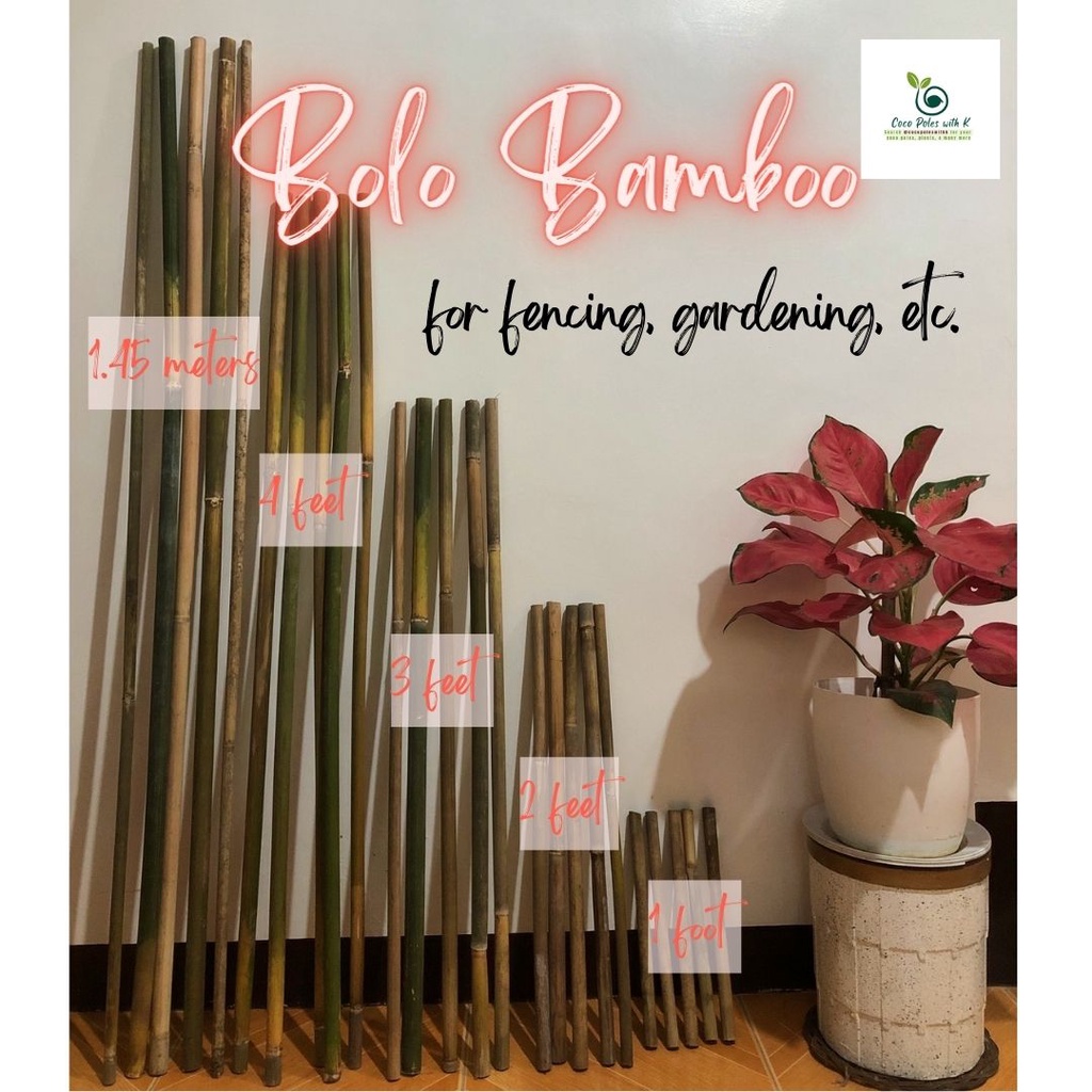 Bamboo Stick (5 PIECES) diameter, Bolo Sticks, Plant Support, Plant ...