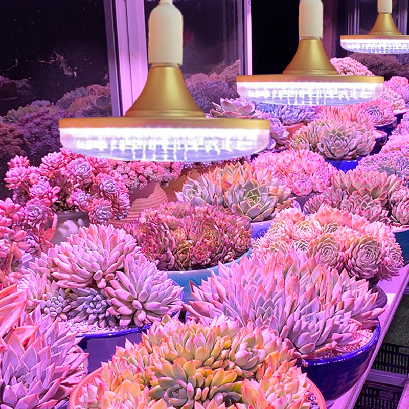 Full Spectrum Ufo Plant Light 50W Succulent Fill Flower Strawberry ...