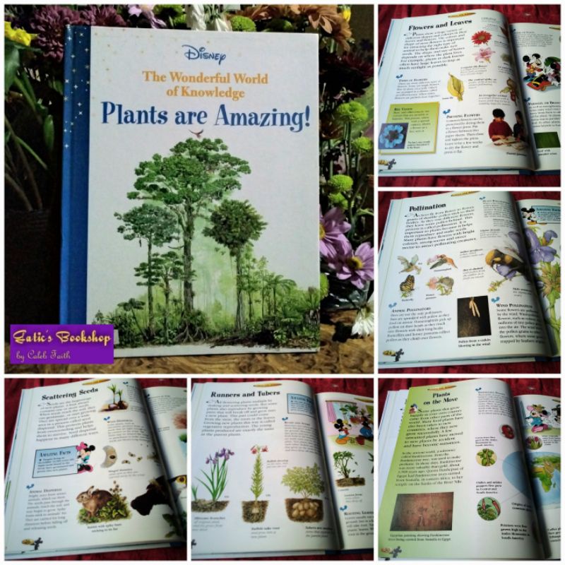 THE WONDERFUL WORLD OF KNOWLEDGE, PLANTS ARE AMAZING! | Shopee Philippines
