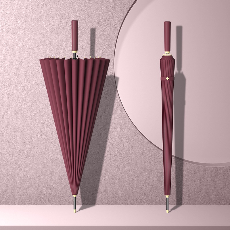 Deluxe Umbrella 24 Ribs Automatic Storm-resistant Large Anti Straight ...