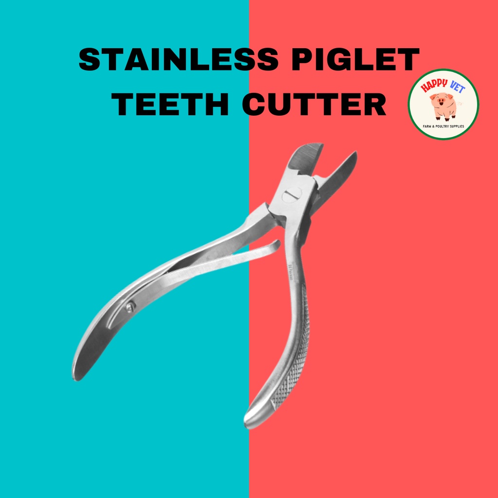1 Piece Stainless Teeth Cutter for Piglets /Pamputol o pambawas ng ...