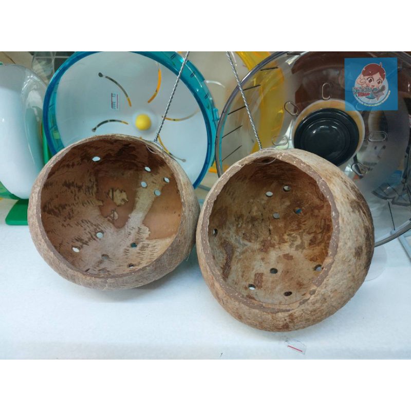 Coconut House Sugar Glider House Squirrel For Small Pets Dental Animals ...