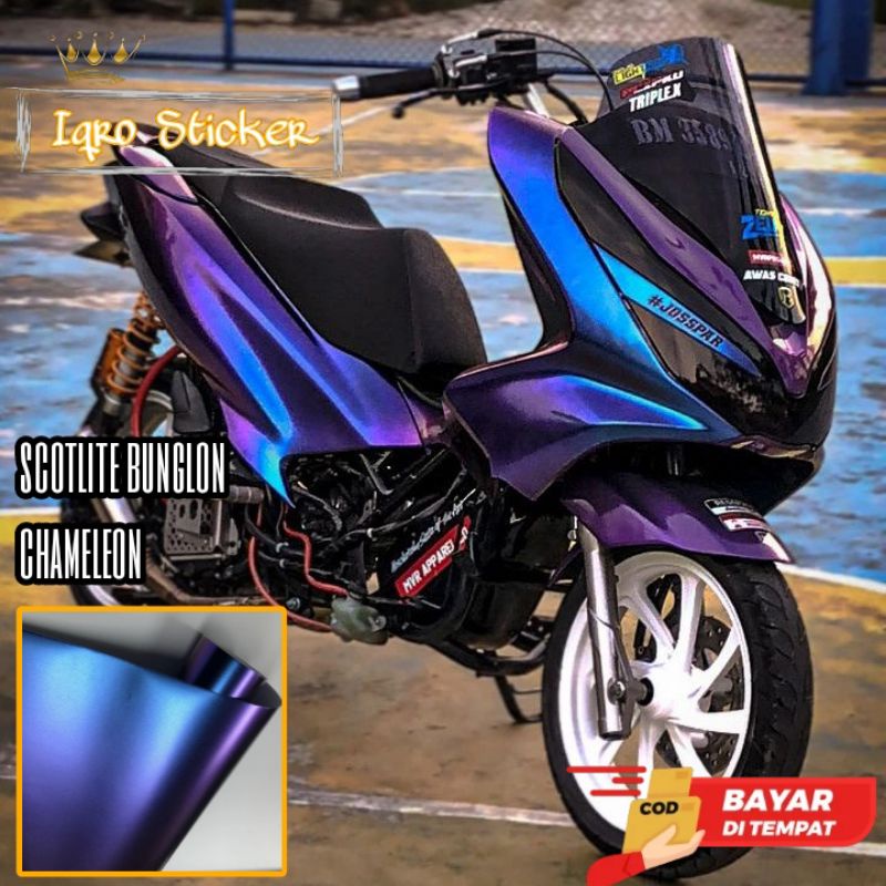 Chameleon Scotlite Sticker Chameleon Scotlite Chameleon Premium Quality ...