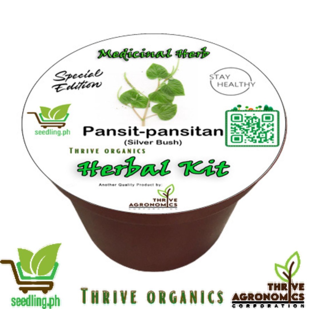 Pansit-Pansitan Silver Bush Herbal Kit Grow Kit Seedling Kit Starter ...